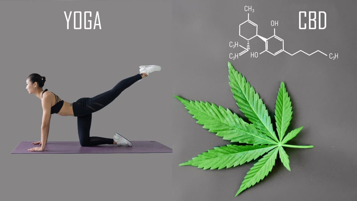 CBD och Yoga - Cannabis i fokus